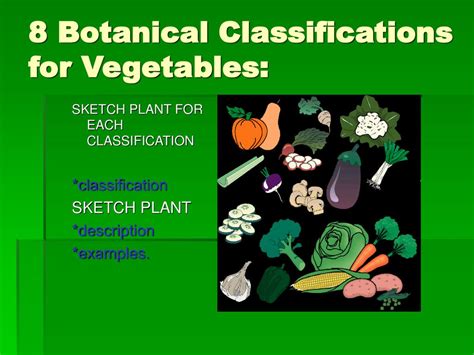 Chapter 16 8 Classifications How Much To Eat Why Ppt Download