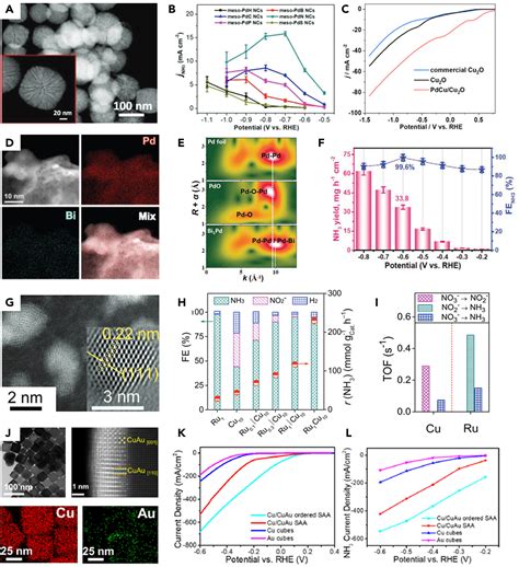 Electrocatalytic Nitrate Reduction Selectivity At The Crossroads Between Ammonia And Nitrogen