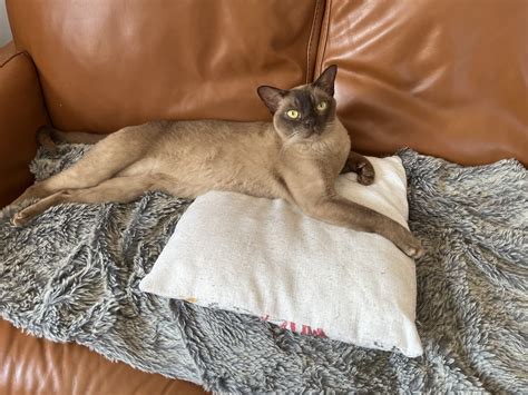 Join Us For Fredagsmys Cosy Fridays Page 13 — Moneysavingexpert Forum