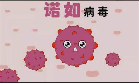 【健康提示】诺如病毒感染高发，南平疾控发布健康提醒！患者粪便疫情