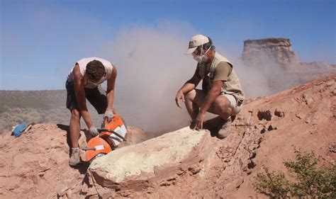 Fossil Breakthrough Small Cat Sized Armoured Dinosaur Unearthed In