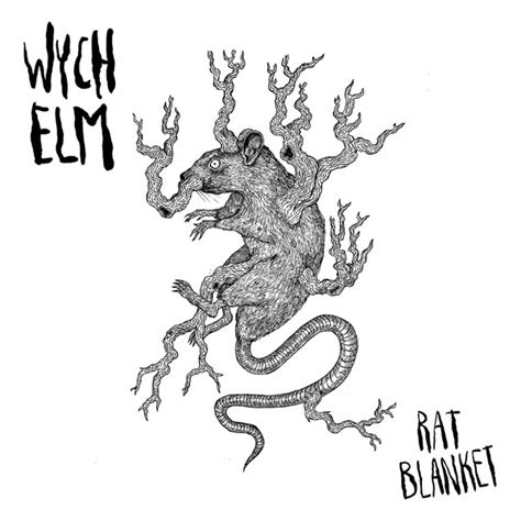 Wych Elm Albums Songs Discography Biography And Listening Guide