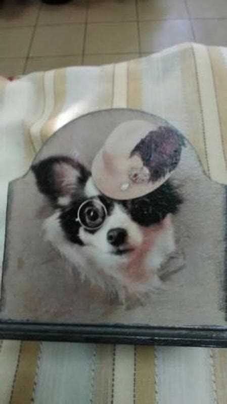 Скринька скринька короб — ціна 170 грн у каталозі Скриньки Купити товари для дому та побуту за