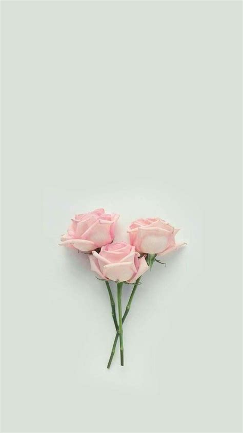 Lock Screen Iphone Aesthetic Flower Wallpaper Hd Link Guru
