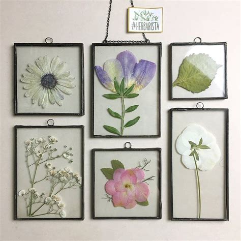 Mothers Day Gift Box Set Of 6 Glass Frames With Pressed Etsy