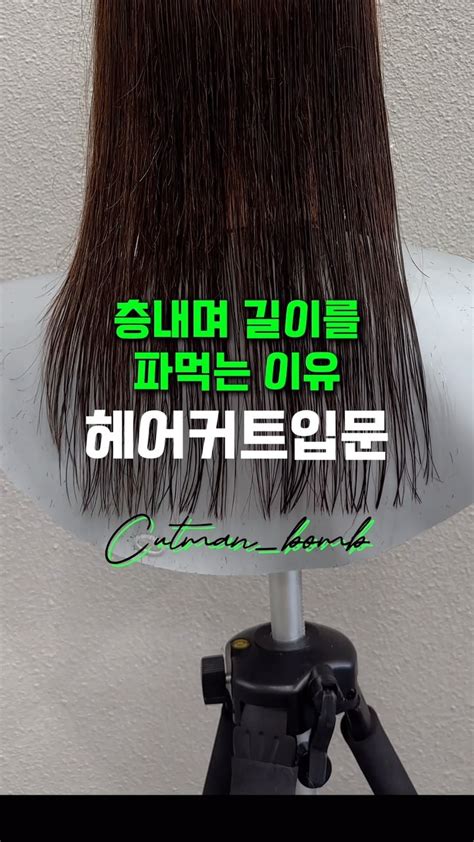 오슈아 헤어 멀티섹션 커트 아카데미 범대진 커트교육 레이어드컷 허쉬컷 슬릭컷 여자커트 남자커트 미디움 이상의 길이에서 라인을 지키며 커트하는경우 층을 내면서 라인을