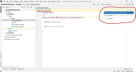 Is This Not A Major Bug That Intellij Has Failed To Solve For Over 10