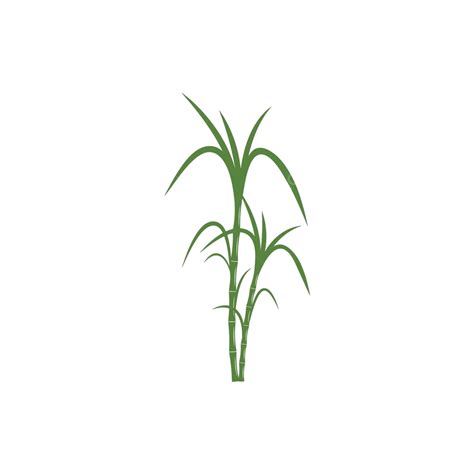 Sugar Cane Logo Template Vector Symbol Tree Vector Sugar Cane Vector Tree Vector Sugar Cane