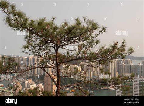 The Vibrant Housing Complex In Hong Kong Surrounded By Trees