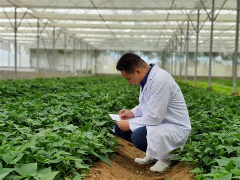 Tcvn 11892 12017 Tiêu Chuẩn Vietgap Về Trồng Trọt Tóm Tắt