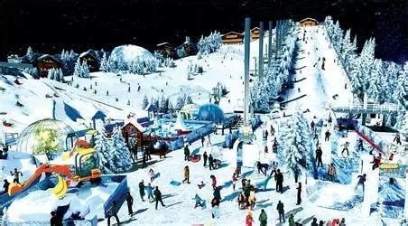 重磅 临港重大项目 冰雪之星最新进展来了 上海搜狐焦点