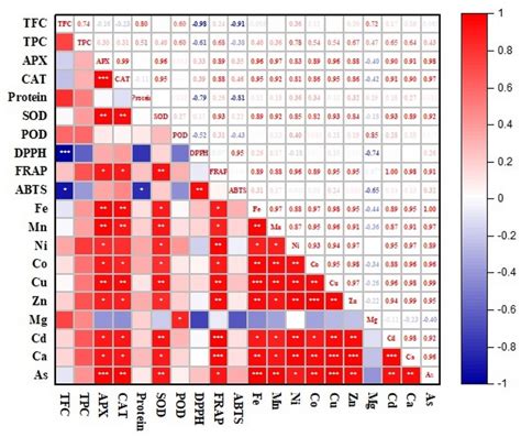 Pearson Correlation Coefficient Plot To Determine The Relationship Of