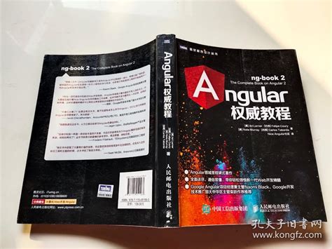 Angular权威教程nice Angular社区 译孔夫子旧书网