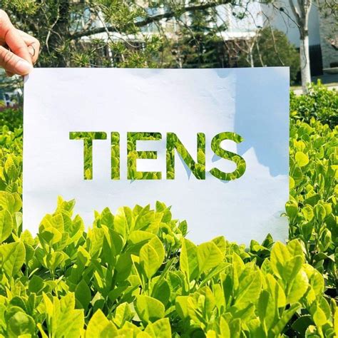 Tiens Store Id Instabio Linkbio