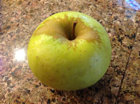 Orin Apple Review Selective Elective