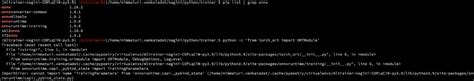 Ortmodule Import Error With Onnxruntime · Issue 10127 · Microsoft