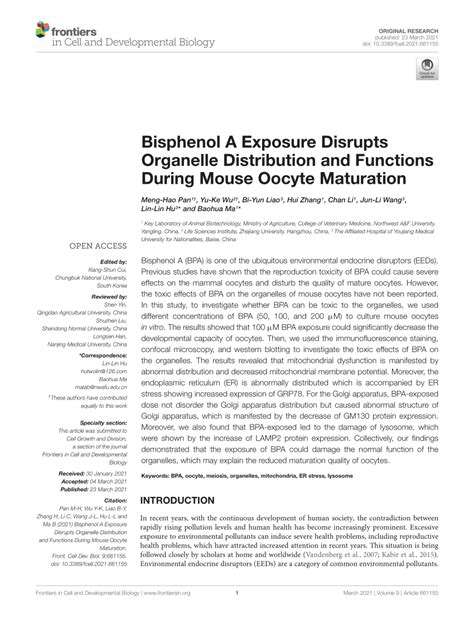 Pdf Bisphenol A Exposure Disrupts Organelle Distribution And