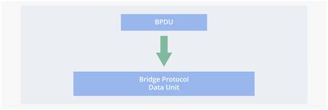 Understanding Bpdu Transmission