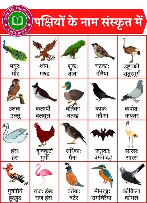 20 Birds Name In Sanskrit संस्कृत में पक्षियों के नाम Onlymyhindi Sanskrit Hindi