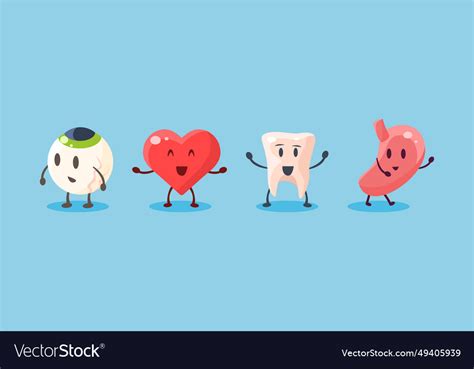 Funny Human Internal Body Organ Character Vector Image