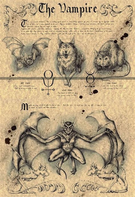 An Old Book With Some Drawings On It