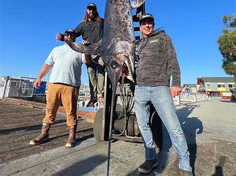 New California State Record Swordfish Sport Fishing Mag