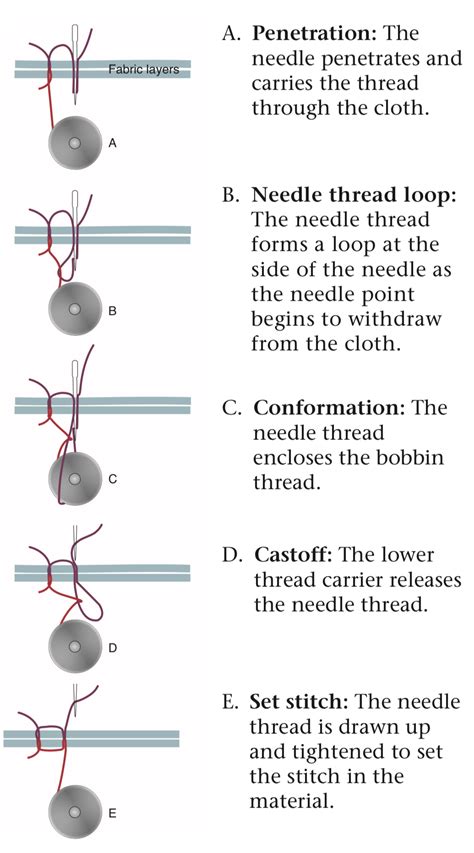 Formation Of A Stitch In Sewing Industry