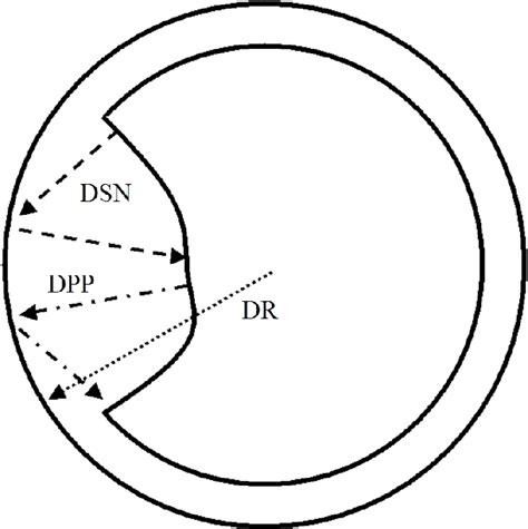 Figure 2 From [automatic Image Segmentation For Treatment Planning In Radiotherapy] Semantic