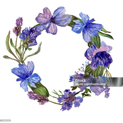 보라색 라벤더입니다 꽃 식물 꽃입니다 봄 야생의 잎 수채화 배경 그림 설정 합니다 화 환 프레임 테두리입니다 그리기에 대한 스톡