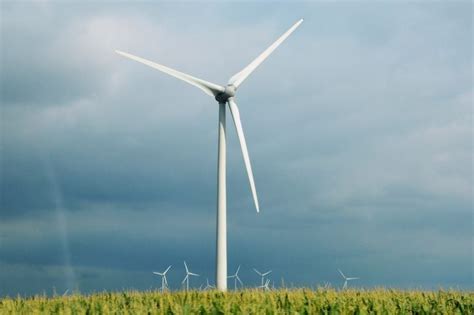 Wind Turbine Generator Control Using A Sensorless Algorithm Imperix