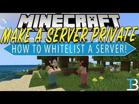 What Does Whitelist Mean In Minecraft
