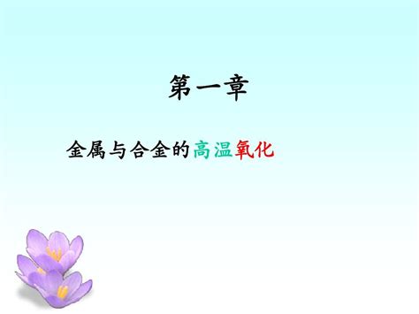 腐蚀与防护第1章 word文档在线阅读与下载 无忧文档