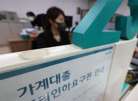 금감원 2023 업무계획 생계형 보험계약대출 차주가 적용금리 선택한다금리 인하 기대 아주경제