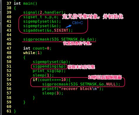 16、【linux系统编程】信号详解 阿牧路泽 博客园