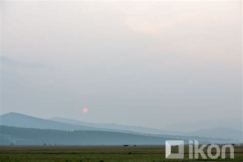 Ой хээрийн гал түймрийн дуудлага 3 8 хувиар өсжээ