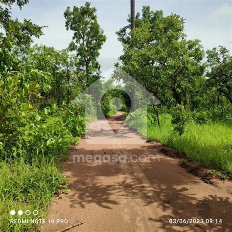 Land For Sale In Kintampo 302227