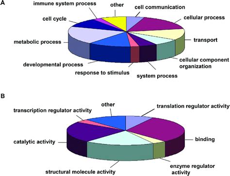 PANTHER Classification Of Proteins That Showed Differential Expression