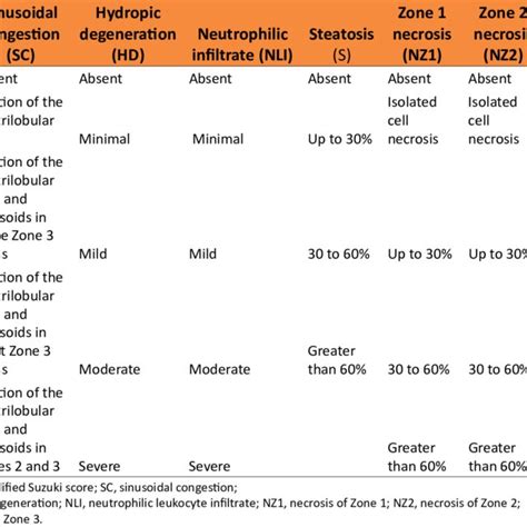 Modified Histopathological Classification Of Suzuki Mhcs Download Table