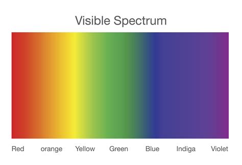 Visible Spectrum Of Light Sensory Stepping Stone