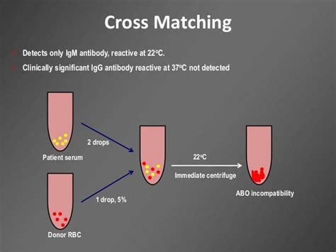 Cross Transfusion And Compatibility