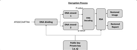Decryption Process Of The Proposed Cryptographic System Download