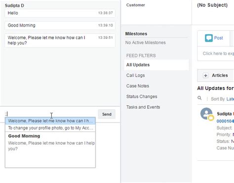 Salesforce Live Agent Chat Objects ~ Salesforce Technical Potpourri