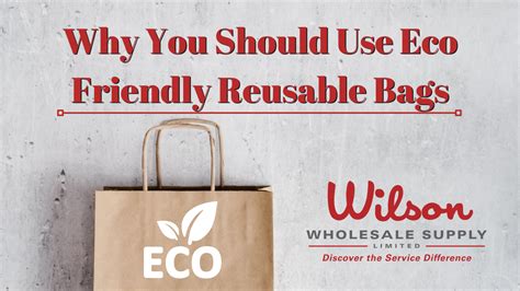 Why You Should Use Eco Friendly Reusable Bags