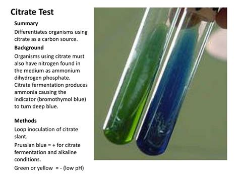 Ppt Summary Of Biochemical Tests In Microbiology Powerpoint