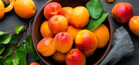 Apricot Benefits Nutritional Value Health Recipes And Uses