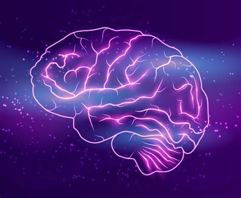 Brain Neuron Cell System