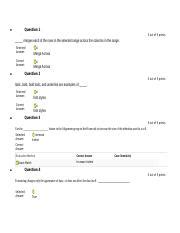Microsoft Excel Spreadsheet Quiz Docx Question Out Of Points Merges Each Of The Rows