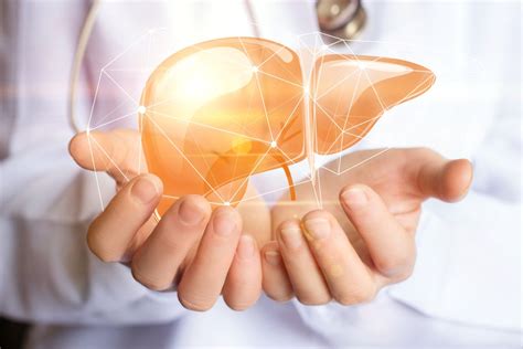 5 Ayurvedic Herbs That Help Keep Your Liver Safe The Statesman