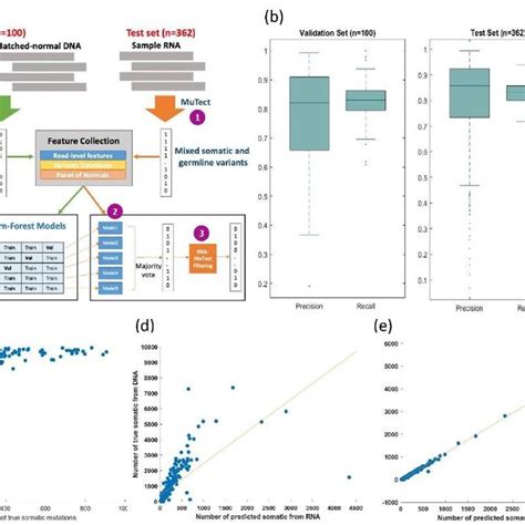 a mutational signatures identified by signatureanalyzer [37] [38] on