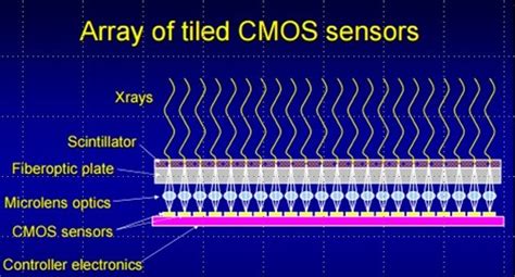 Digital Radiography Flashcards Quizlet